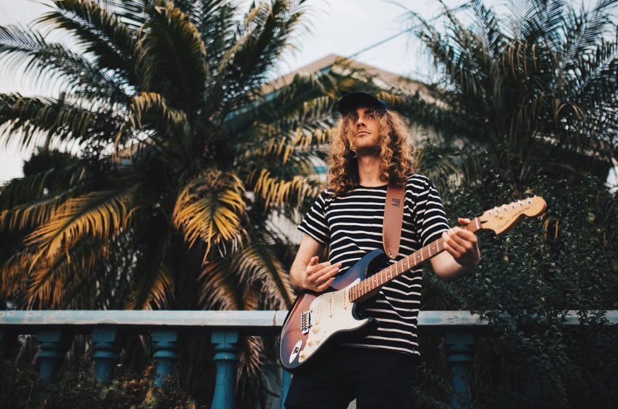 Mosman Locals Kickstarter Campaign: The Board Game that Plants Real ...