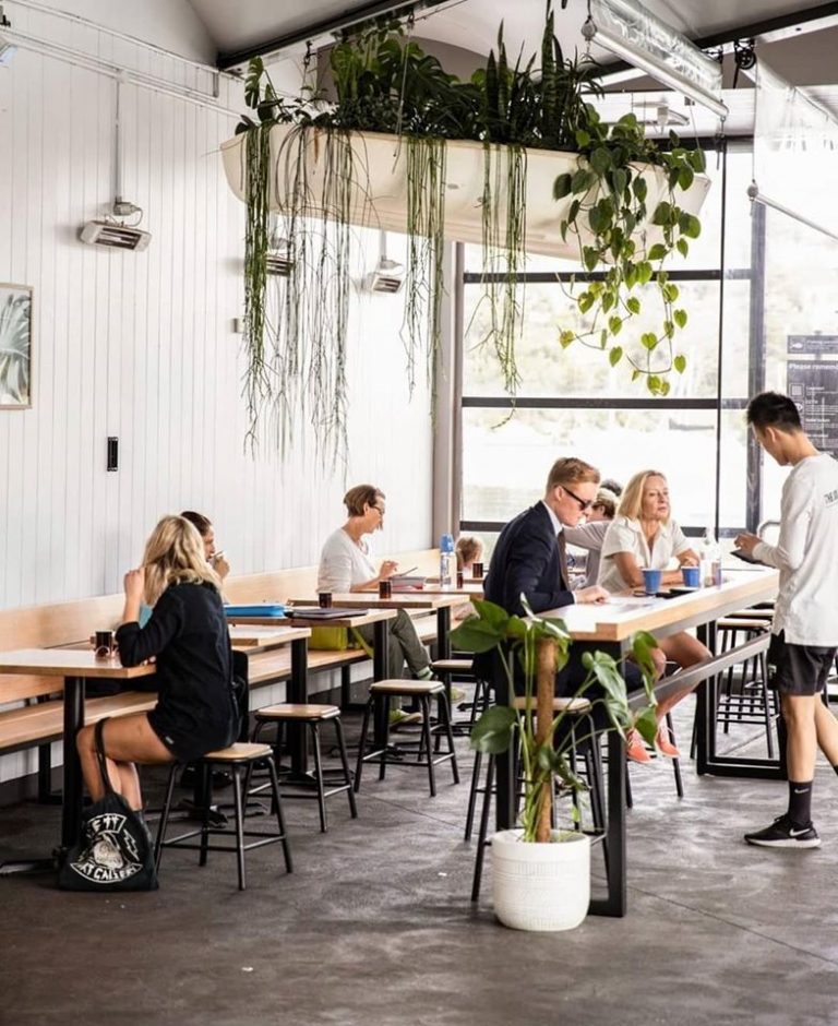 Mosman Wharf Invigorated by Monstera's Midas Touch - Mosman Living