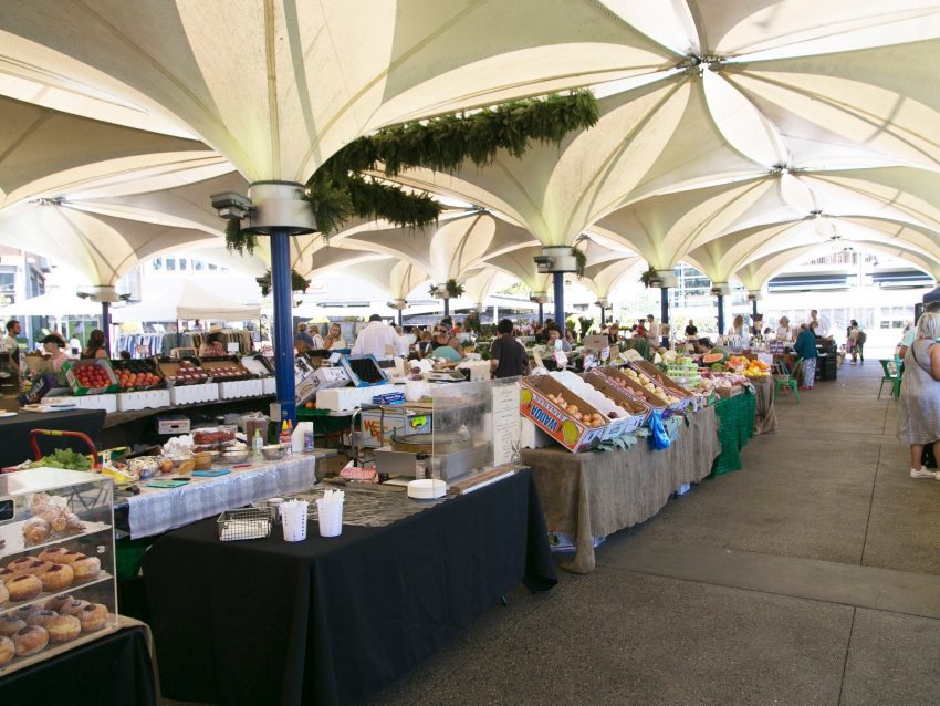 Don't Miss The Mosman Christmas Market and More... - Mosman Living