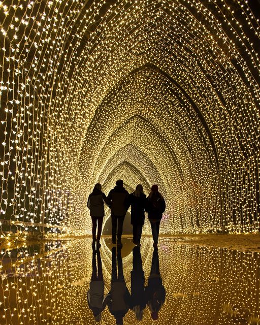 Where To Catch the Best Bits of This Year's Vivid Festival - Northern ...