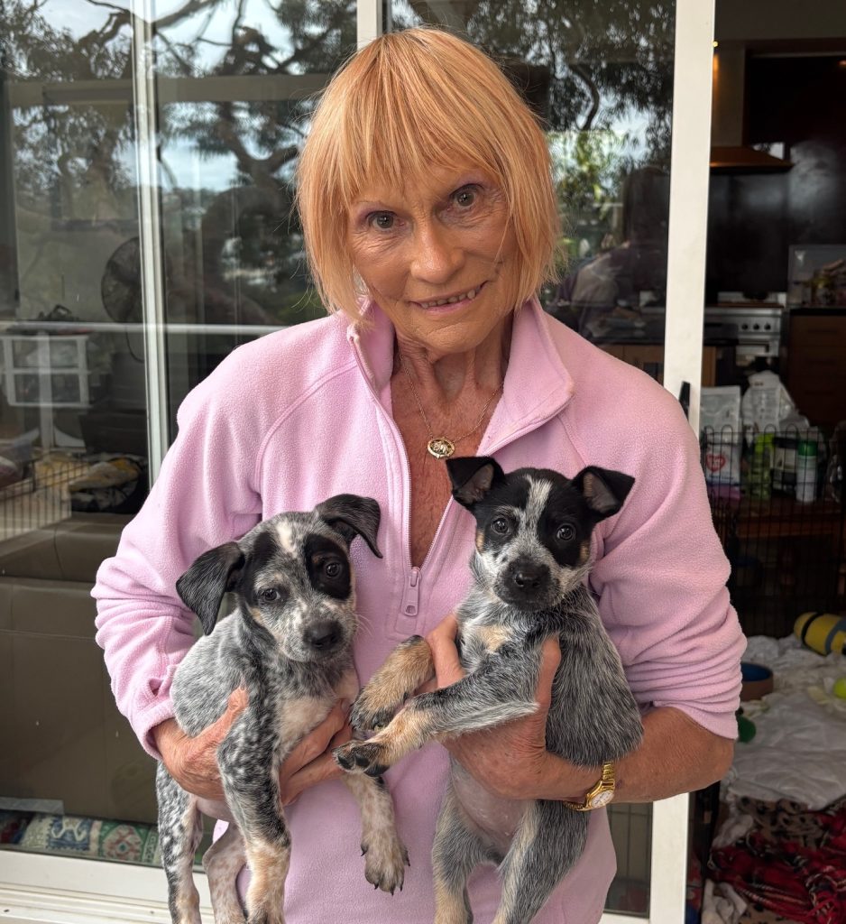 Meet The Local Legends At Wally’s Doggie Rescue