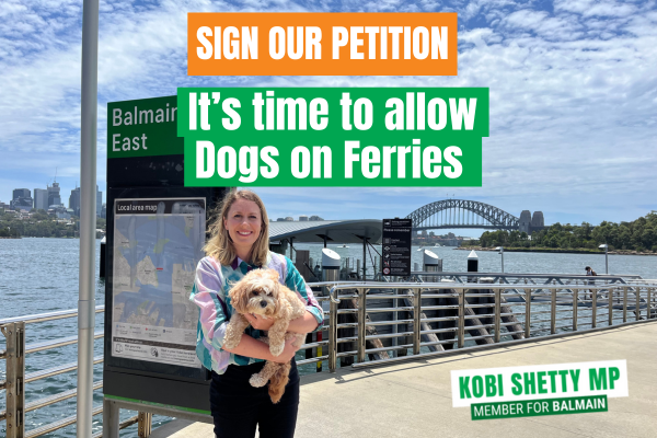Should Dogs Be Allowed On Our Ferries? - Northern Beaches Living