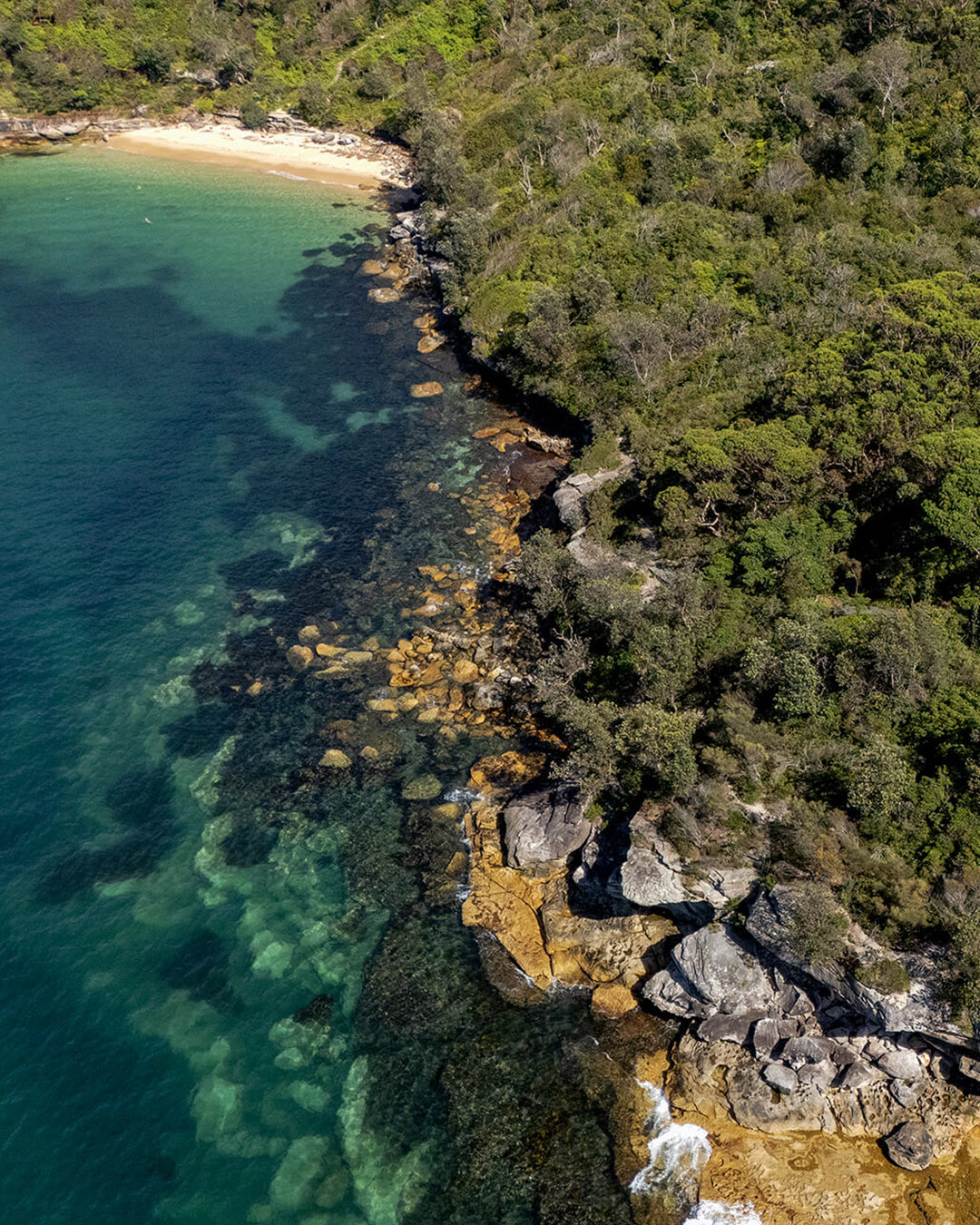 A Stunning New Mosman Harbour Walk Has Opened! - Mosman Living