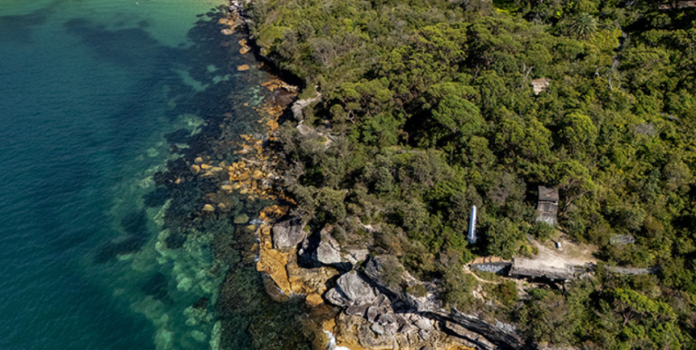 A Stunning New Mosman Harbour Walk Has Opened! - Mosman Living