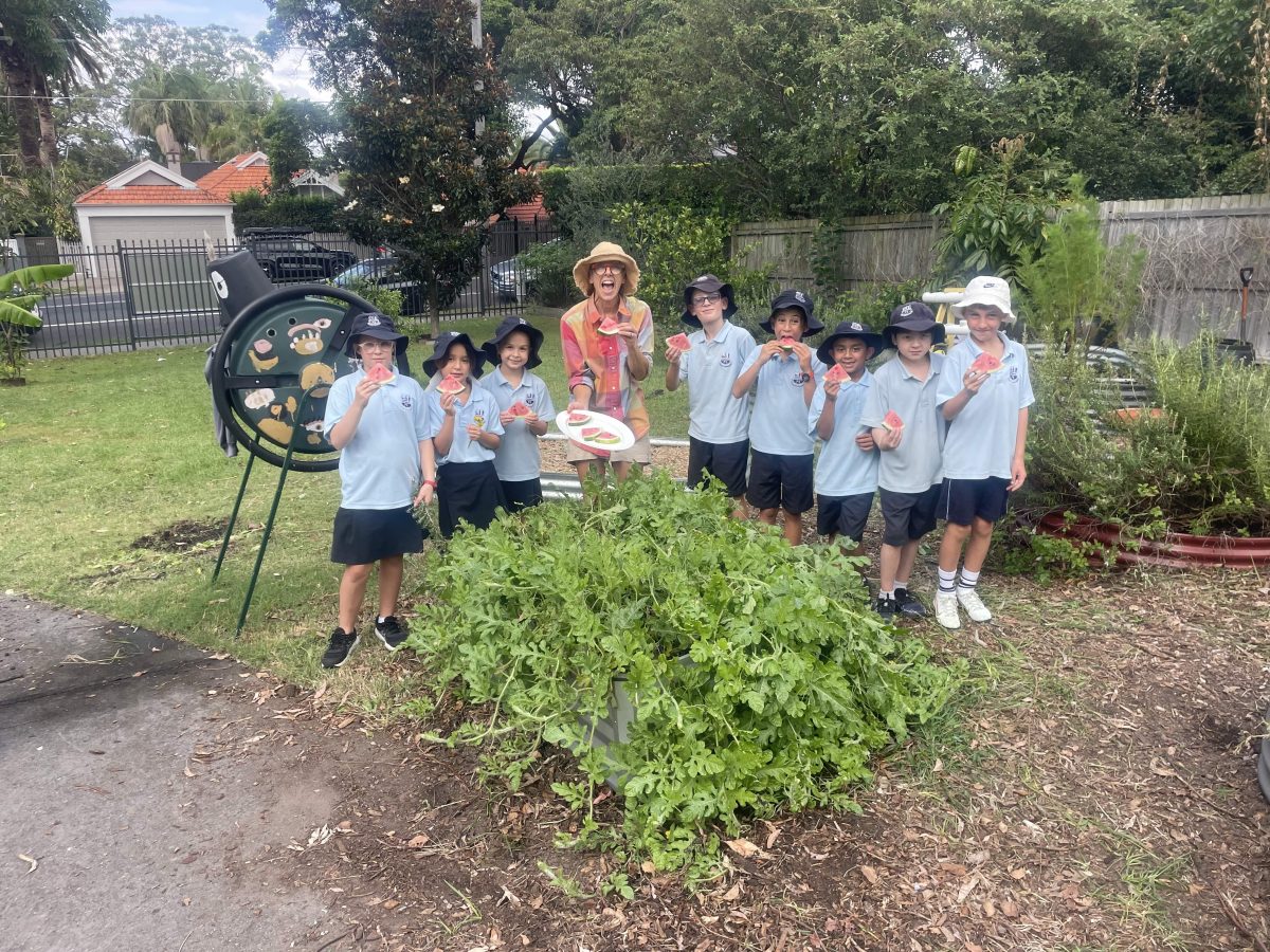 Meet Mosman Public School's Sustainability Champion - Mosman Living