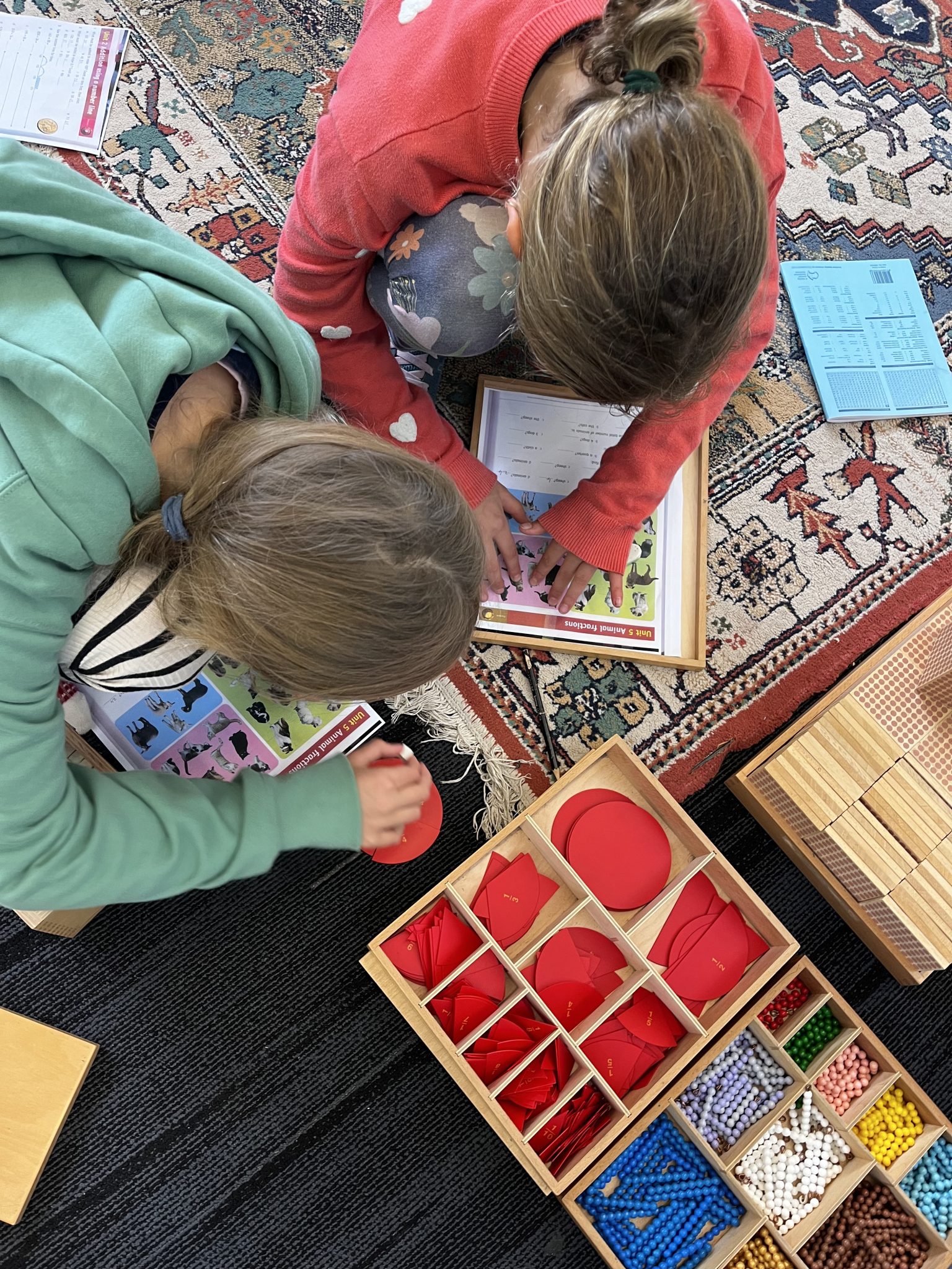 Tijana Ilic – The Barefoot Teacher Tutoring | EducationalOrganization ...