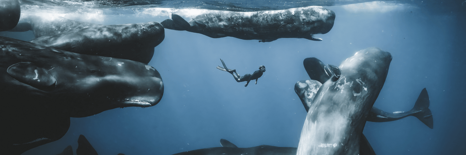 Ocean Photographer of the Year at the Australian National Maritime ...